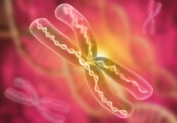 Avigenics UK - Bird DNA Sexing & Genetic Testing | PBFD, APV Tests