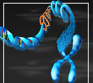Avigenics UK - Bird DNA Sexing & Genetic Testing | PBFD, APV Tests