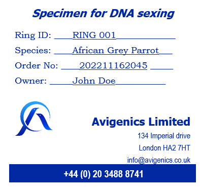 Avigenics UK - Bird DNA Sexing & Genetic Testing | PBFD, APV Tests